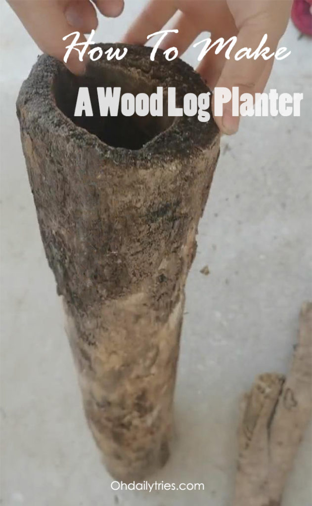 How To Make A Hollow Log Planter for Succulents