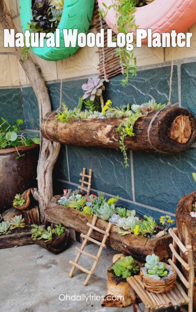 How To Make A Hollow Log Planter for Succulents
