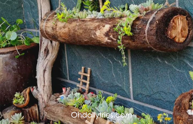 How To Make A Hollow Log Planter for Succulents