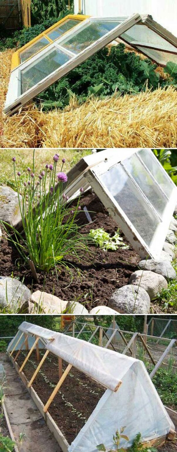 15 Cold Frame Ideas to Prolong the Growing Season in Your Garden