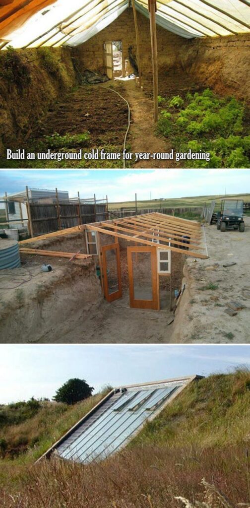 15 Cold Frame Ideas to Prolong the Growing Season in Your Garden