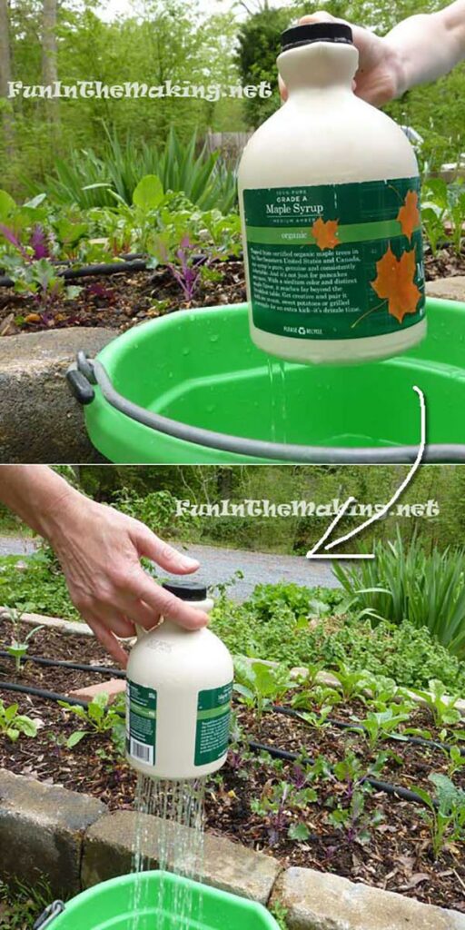 Best 23 Ideas to Recycle Empty Food Containers