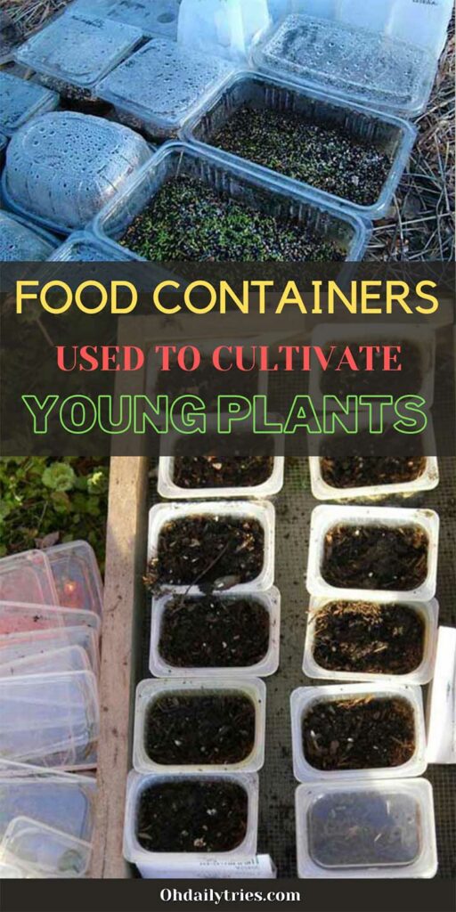 Best 23 Ideas to Recycle Empty Food Containers