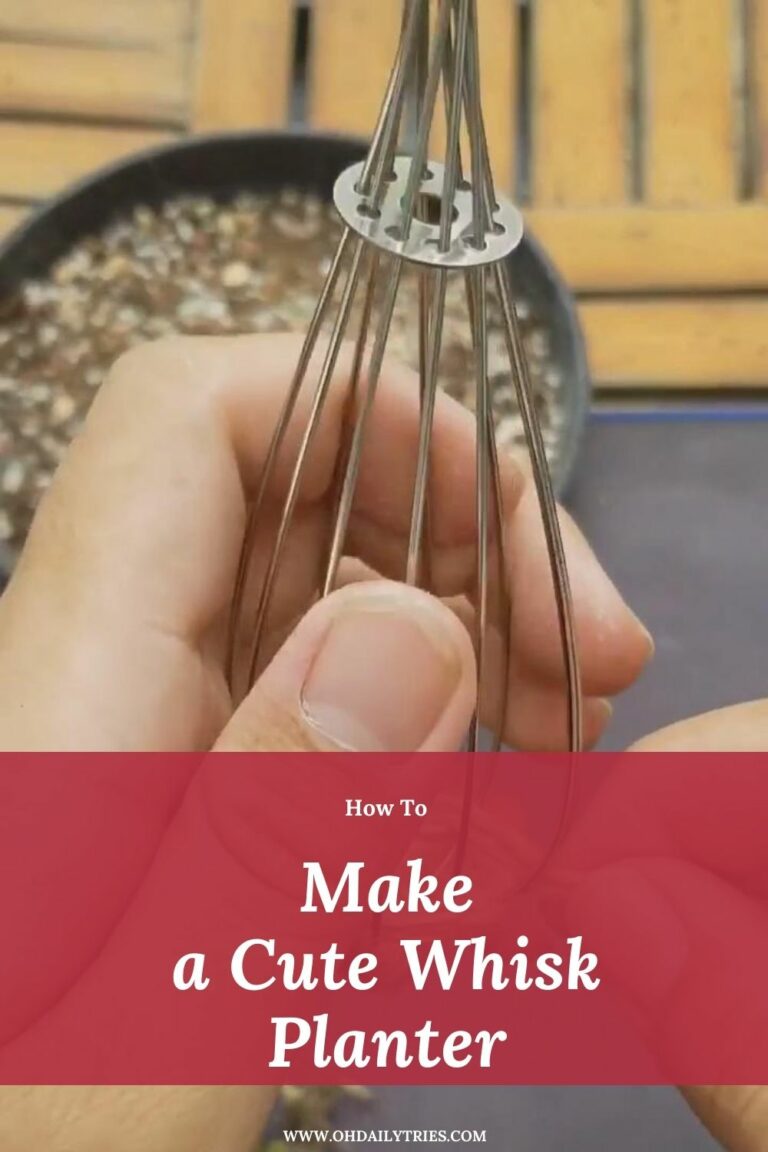 Make a Cute Whisk Planter - Ohdailytries