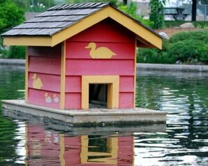 34 Free & Easy-to-Build DIY Duck House Plans