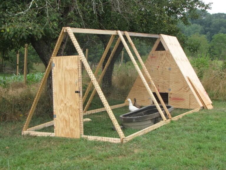 34 Free & Easy-to-Build DIY Duck House Plans